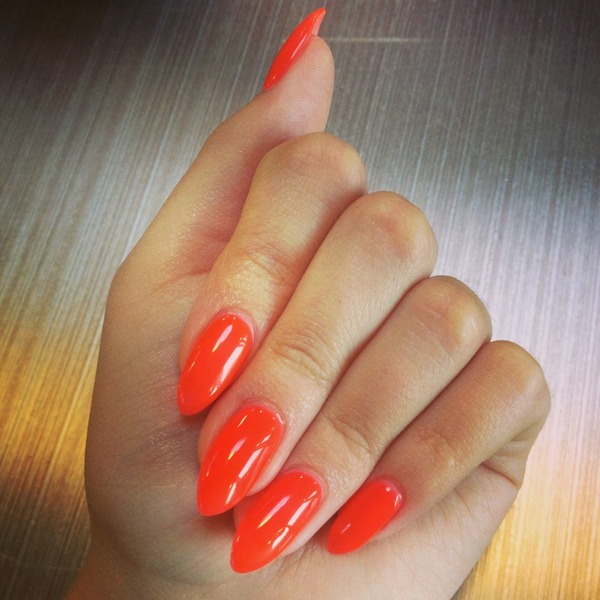 Orange Cat Claws | Deanna P.'s Photo | Beautylish