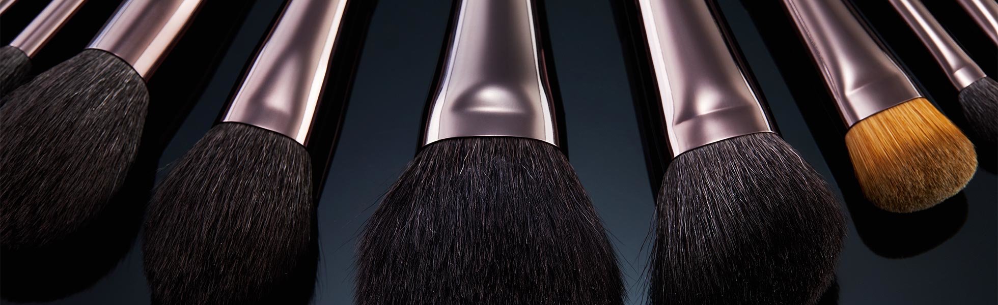 LINA CHOO Renaissance Brush Collection | Beautylish