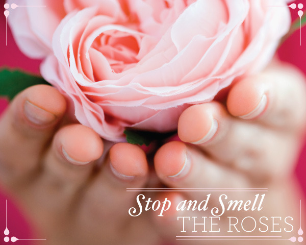 Stop and Smell the Roses | Beautylish