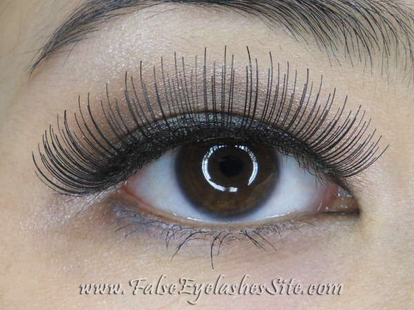 Bonnie L.'s (Elegant_Lashes) Photos | Beautylish