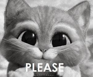 PLEASE? | Veronica E.'s (Hey_its_Vtown_Ericks) Photo | Beautylish