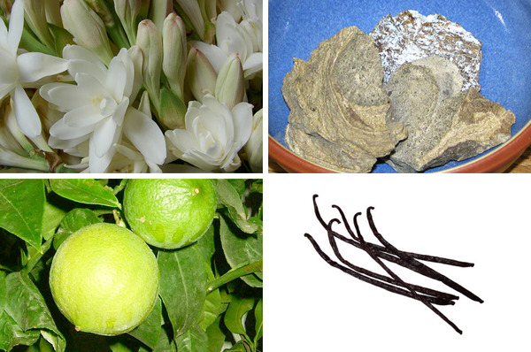 A Closer Look at Common Perfume Ingredients, Round 2 | Beautylish