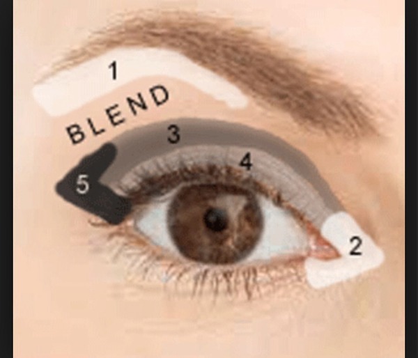 How do I put eye shadow on? | Beautylish