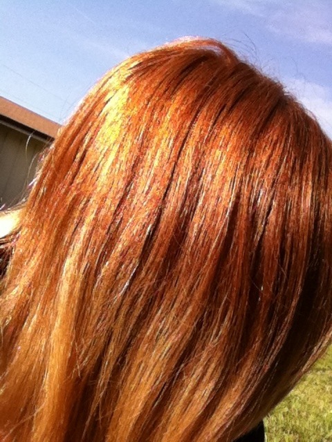 Ginger in the Sun | Kallie F.'s Photo | Beautylish
