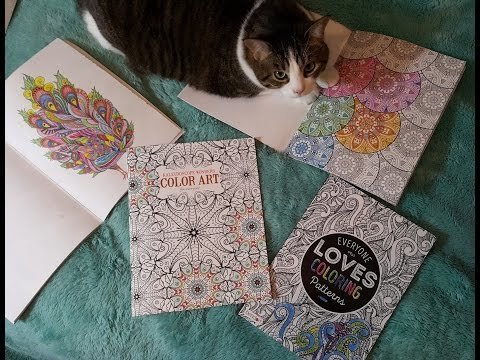My Coloring Book Obsession 2-14-16 | Connie B. Video | Beautylish