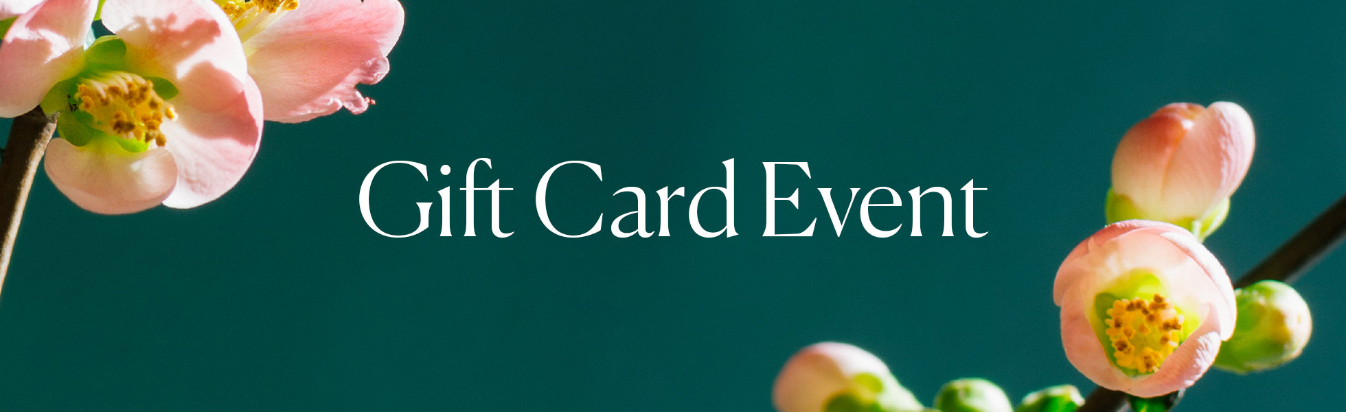 Beautylish Spring Gift Card Event 2024 Terms & Conditions | Beautylish