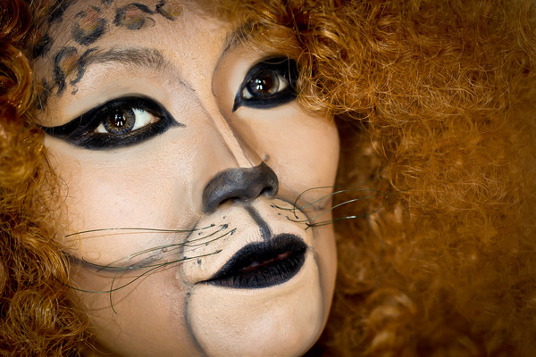 Feline Cat | May N.'s (beautywithmay) Photo | Beautylish